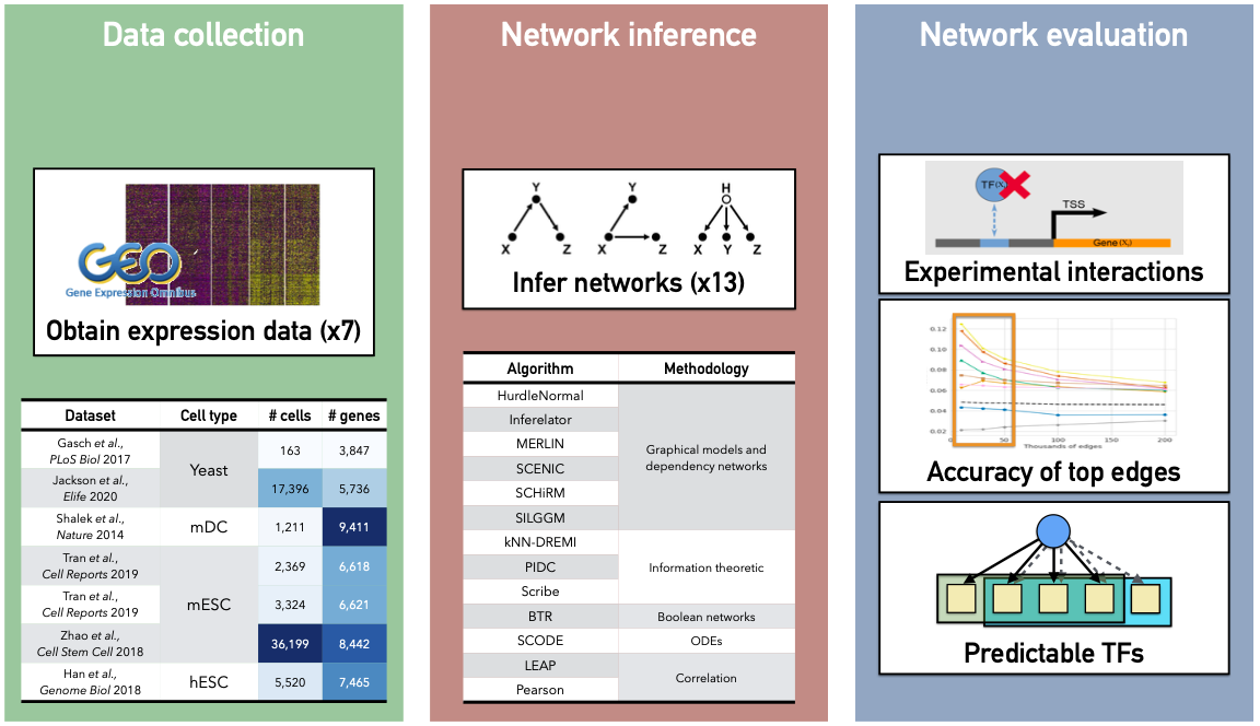 GitHub - Roy-lab/scRNAseq_NetInference